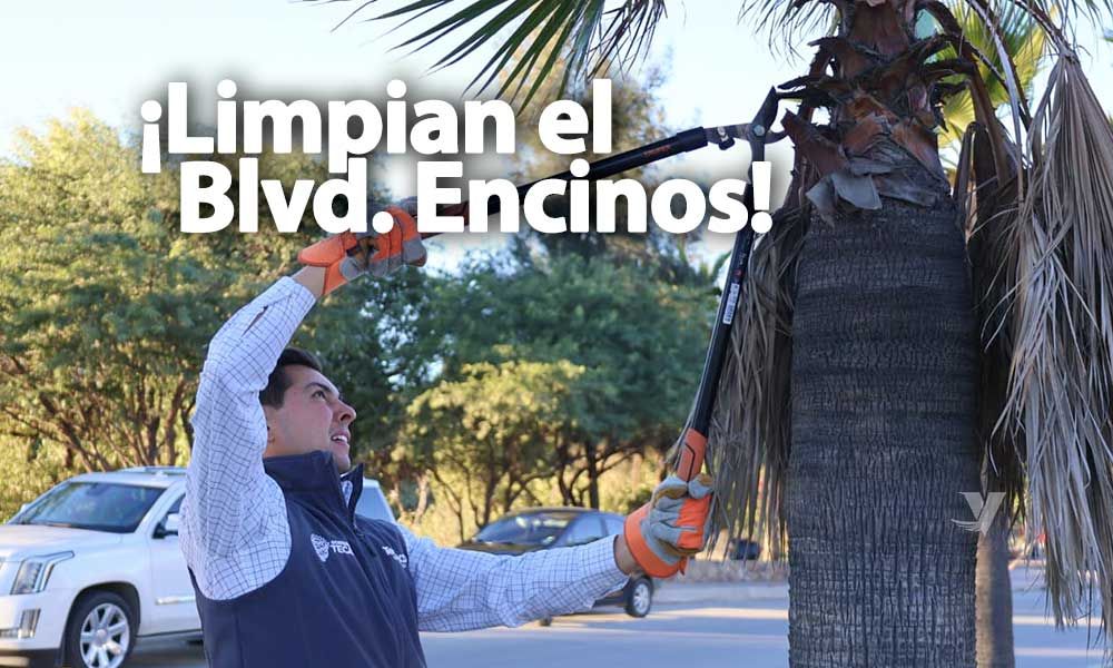 Gobierno en tu Colonia refuerza conexión vecinal con nueva jornada de ...