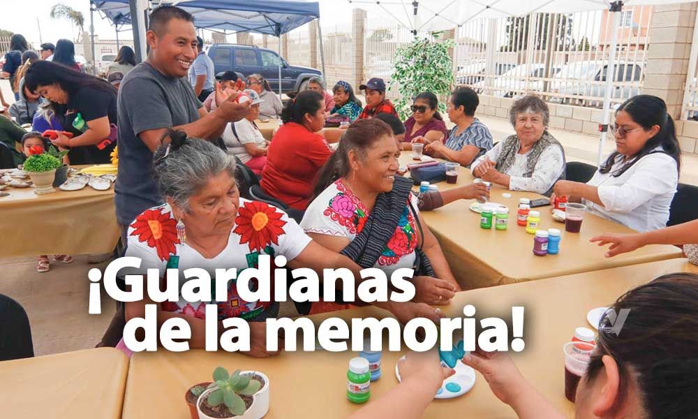 Inscripciones abiertas para ingresar a COBACH - Veraz Informa