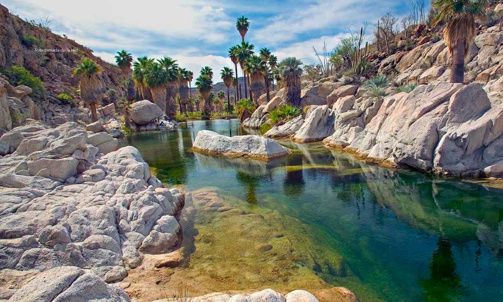 ¿Conoces el Oasis de Santa María en San Quintín? - Veraz Informa