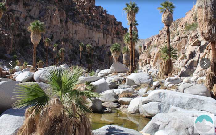 ¿Conoces el Oasis de Santa María en San Quintín? - Veraz Informa