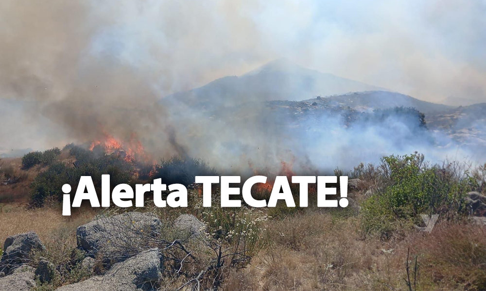 Incendio en Tecate pone en peligro 30 hectáreas - Veraz Informa
