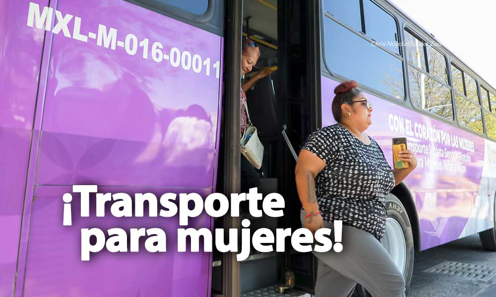 Pide diputada ampliar la Ruta Violeta - Veraz Informa