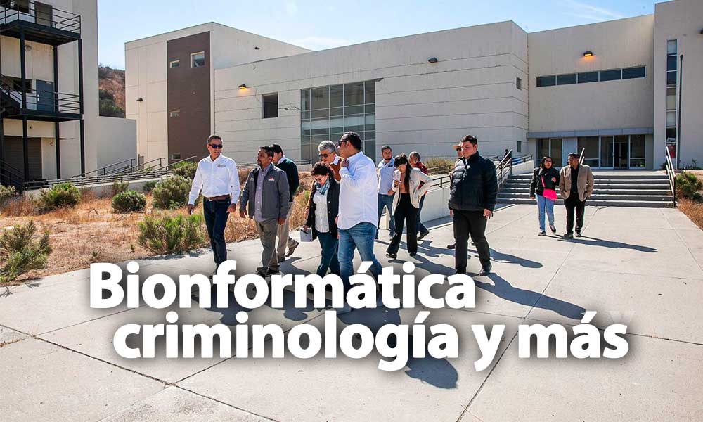 Conoce las 10 carreras que ofertará la nueva universidad pública de ...