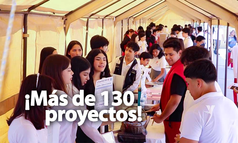 Celebra CETis 25 su 46 aniversario con una exitosa Expo Física 2024 ...