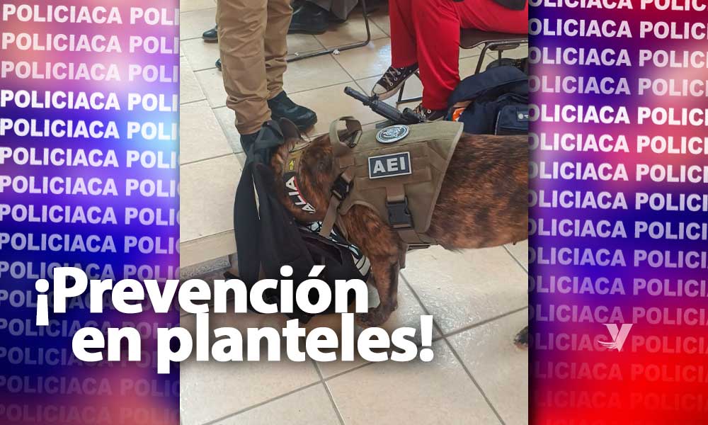 Realizan jornada de revisión preventiva en CETis 25 - Veraz Informa